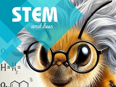 Exploring the buzz-worthy connection between Bees and STEM