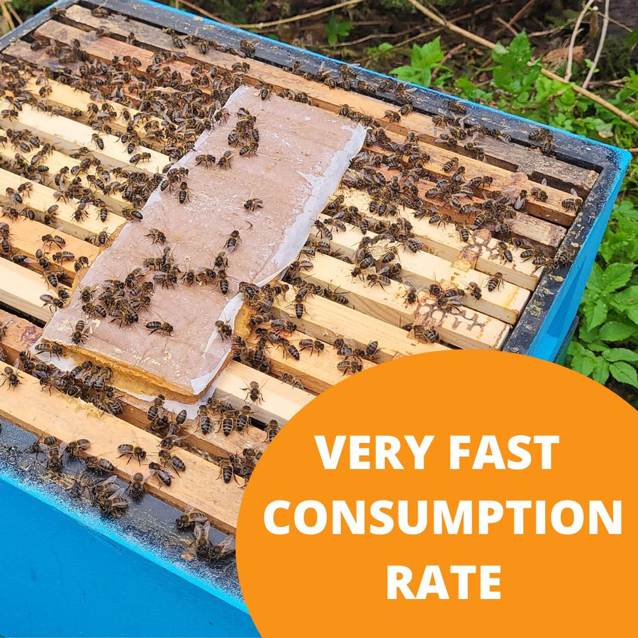 HiveAlive High Performance Pollen Patty - 100% USA pollen