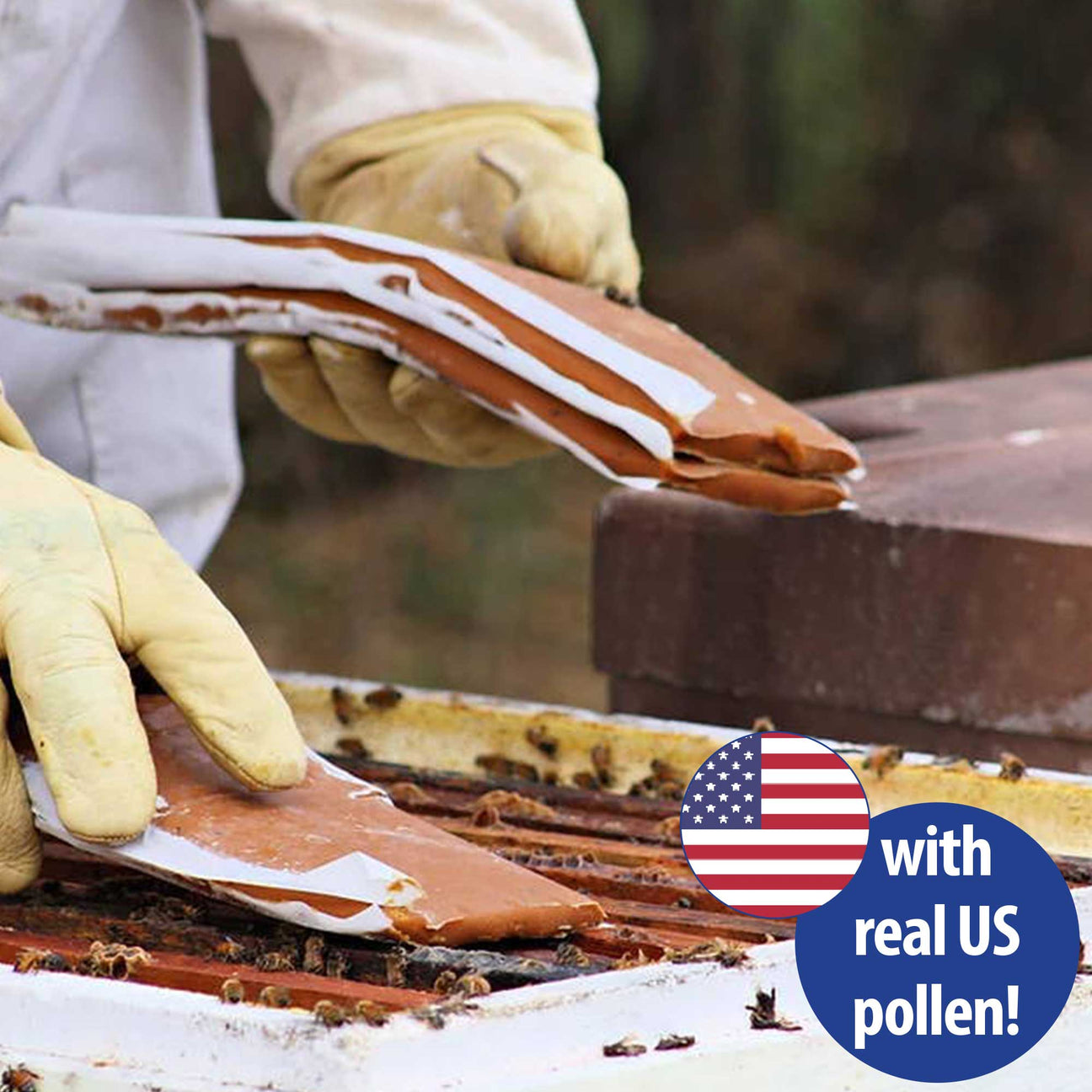 HiveAlive High Performance Pollen Patty - 100% USA pollen
